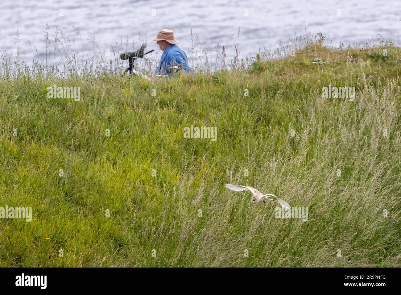 UK wildlife - 28 June 2023 - Birder looking the wrong way with a ...