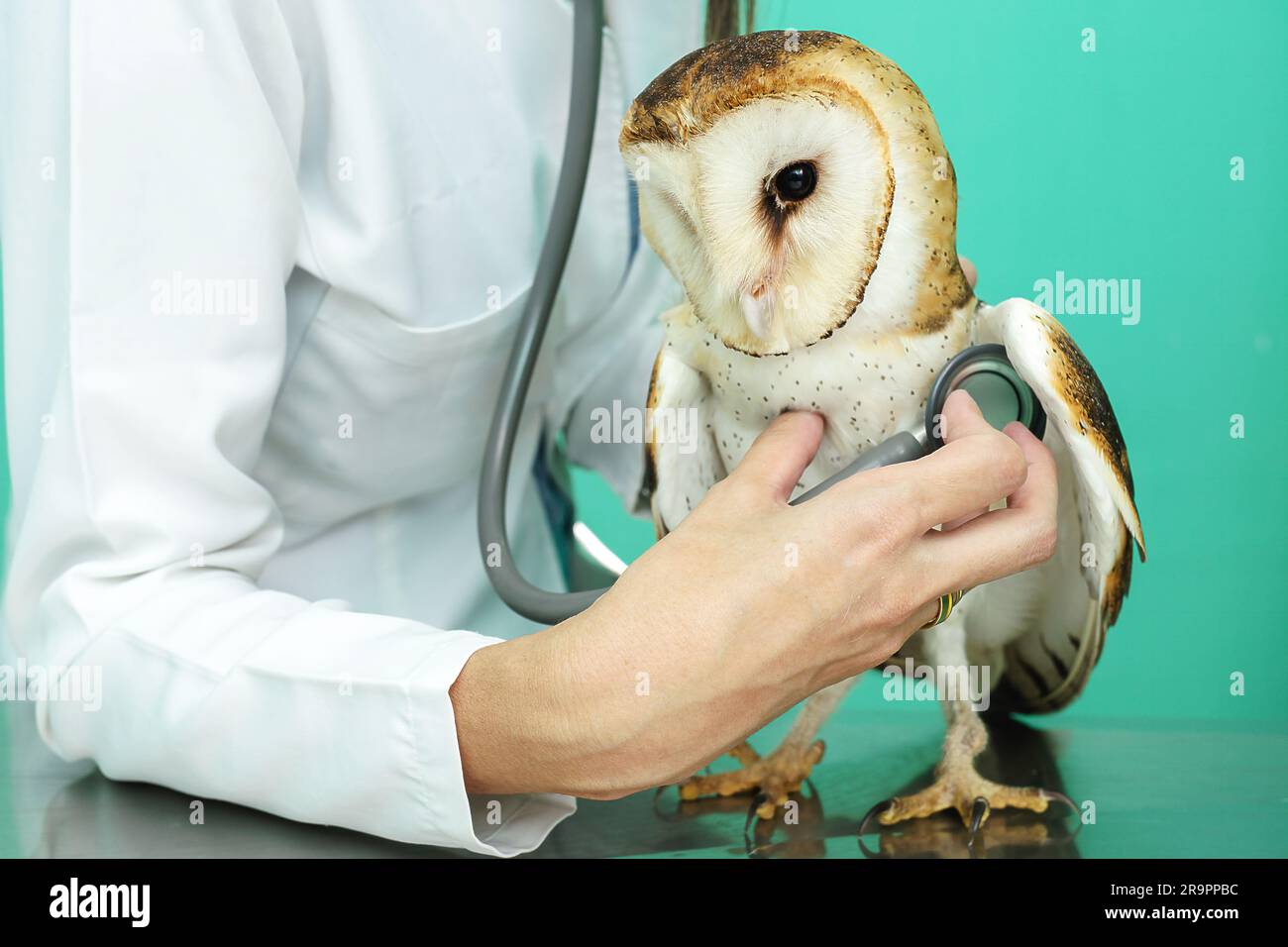 Baby squinting hi-res stock photography and images - Alamy