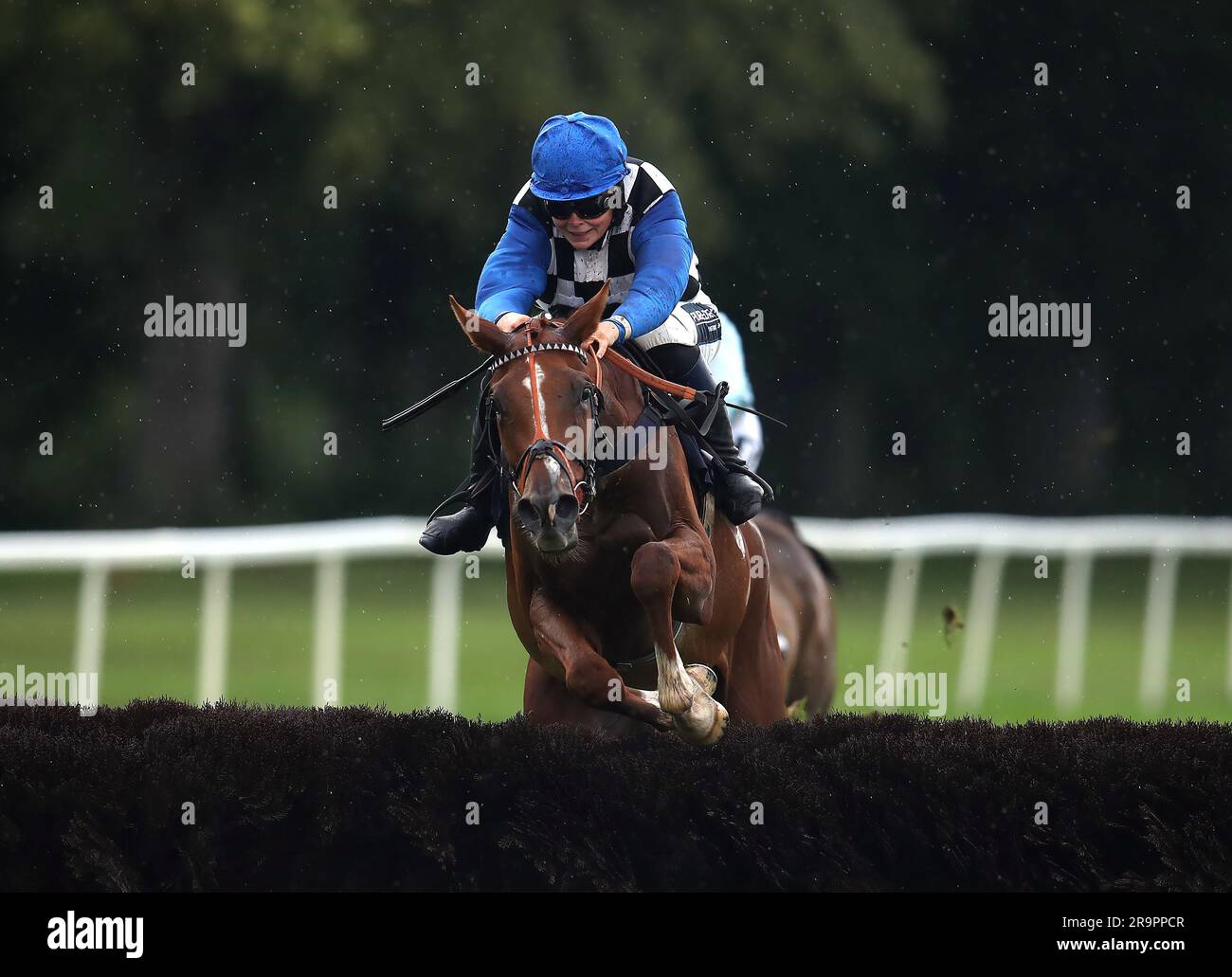 Lilly pinchin hi-res stock photography and images - Alamy