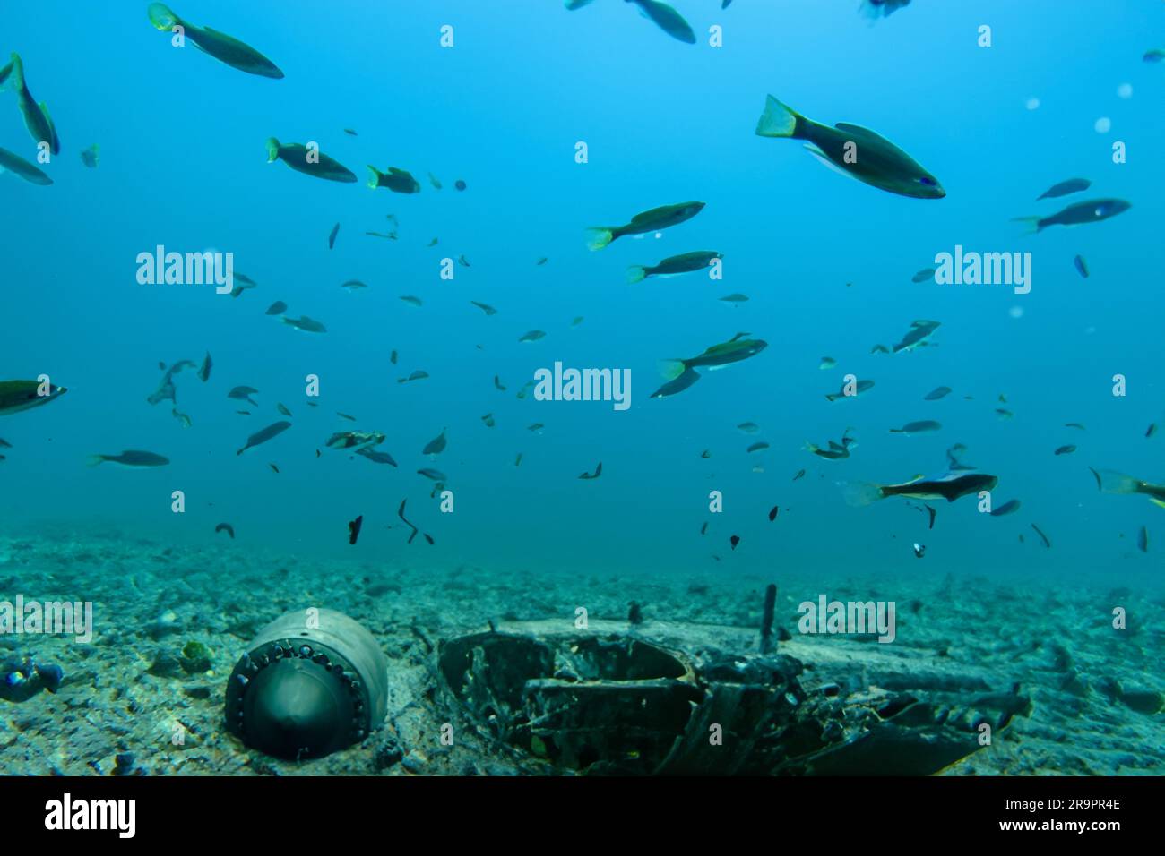 submarine debris on ocean bed with shoal of fish swimming free Stock ...