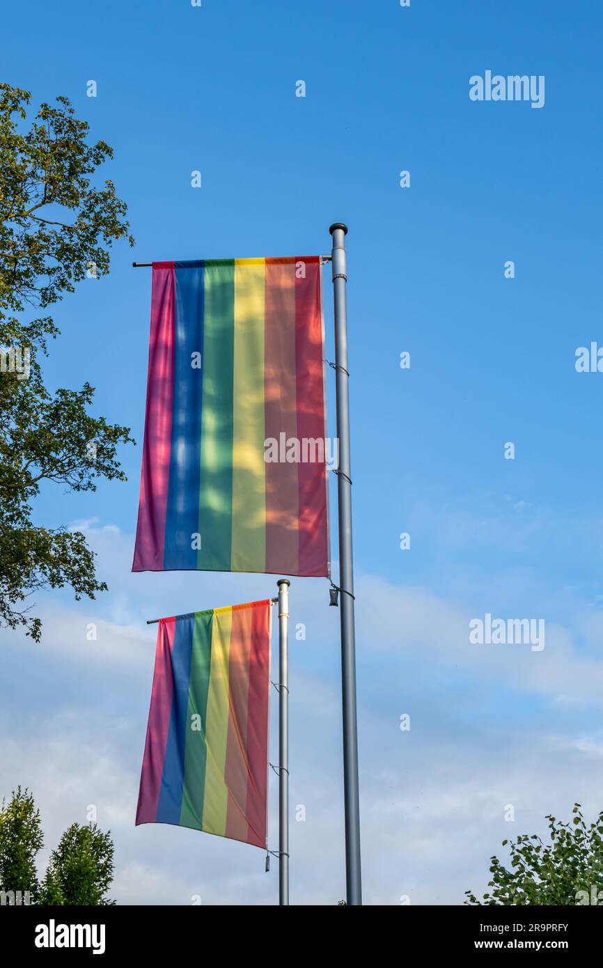 two rainbow flags in front of green trees and blue sky Stock Photo - Alamy