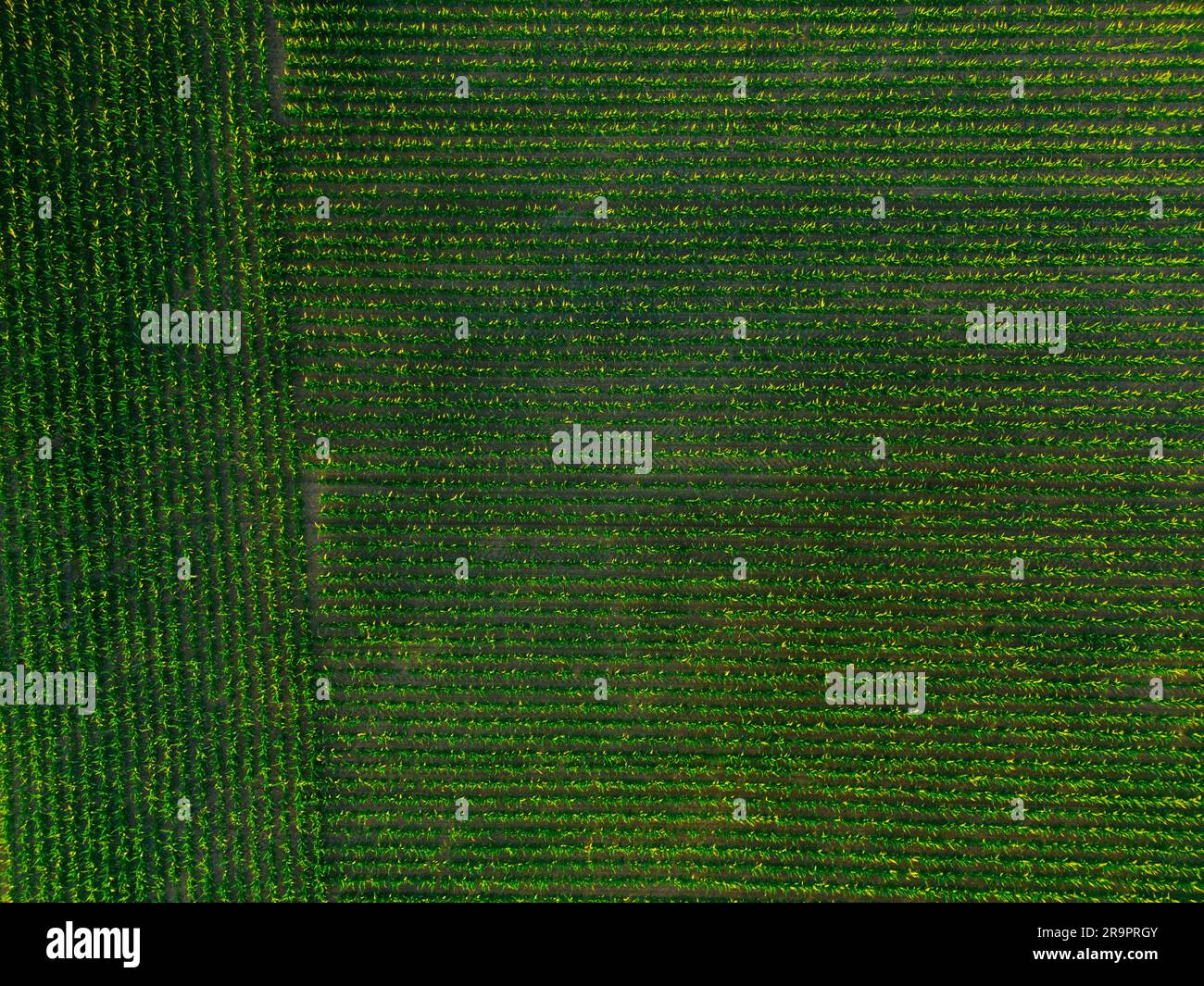 Drone footage of agricultural land hi-res stock photography and images ...