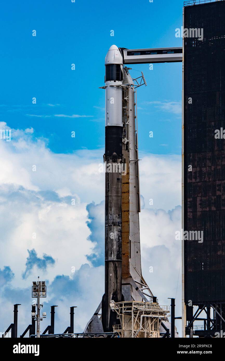 Falcon X Rocket 3 Crs