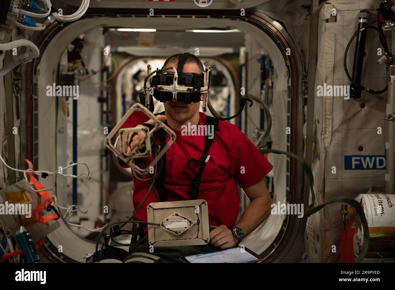 Human bodys hi-res stock photography and images - Alamy