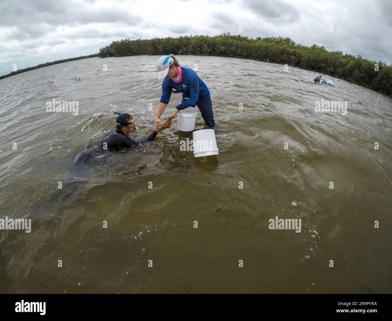Ksc banana river lagoon hi-res stock photography and images - Alamy