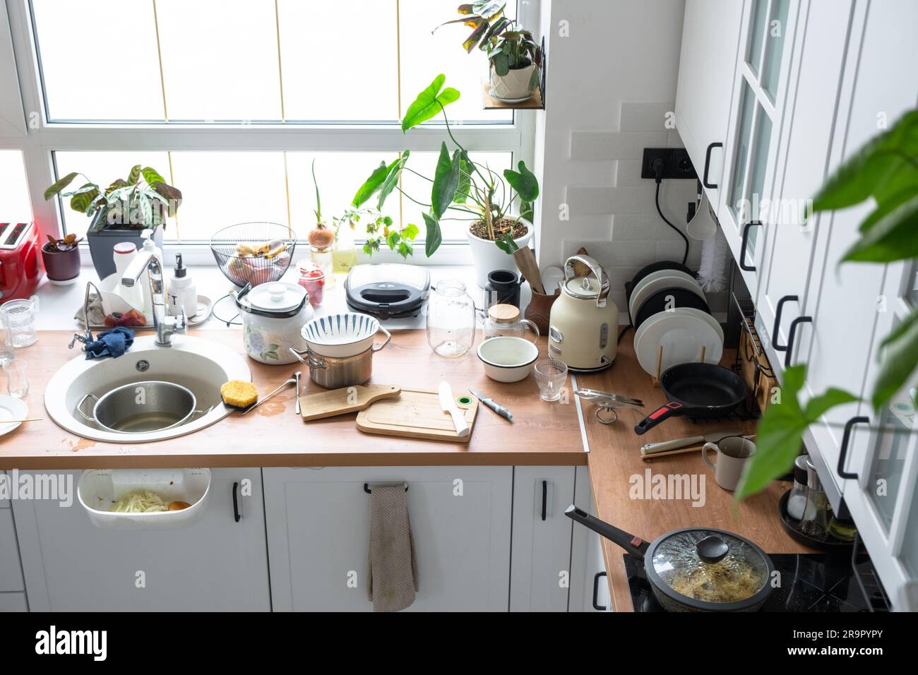 Unsanitary conditions hi-res stock photography and images - Alamy