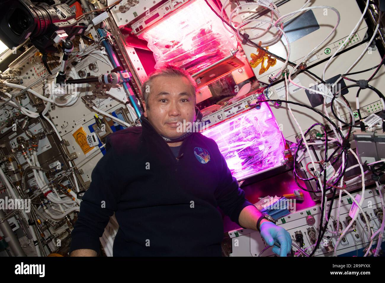 Veggie space botany facility hi-res stock photography and images - Alamy
