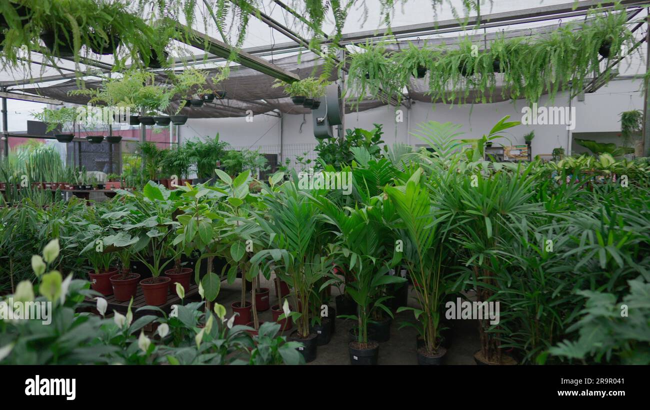 Interior design horticulture hi-res stock photography and images - Alamy