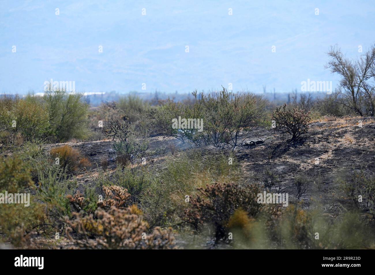 Smoke rises from the Diamond Fire that broke out Tuesday later ...