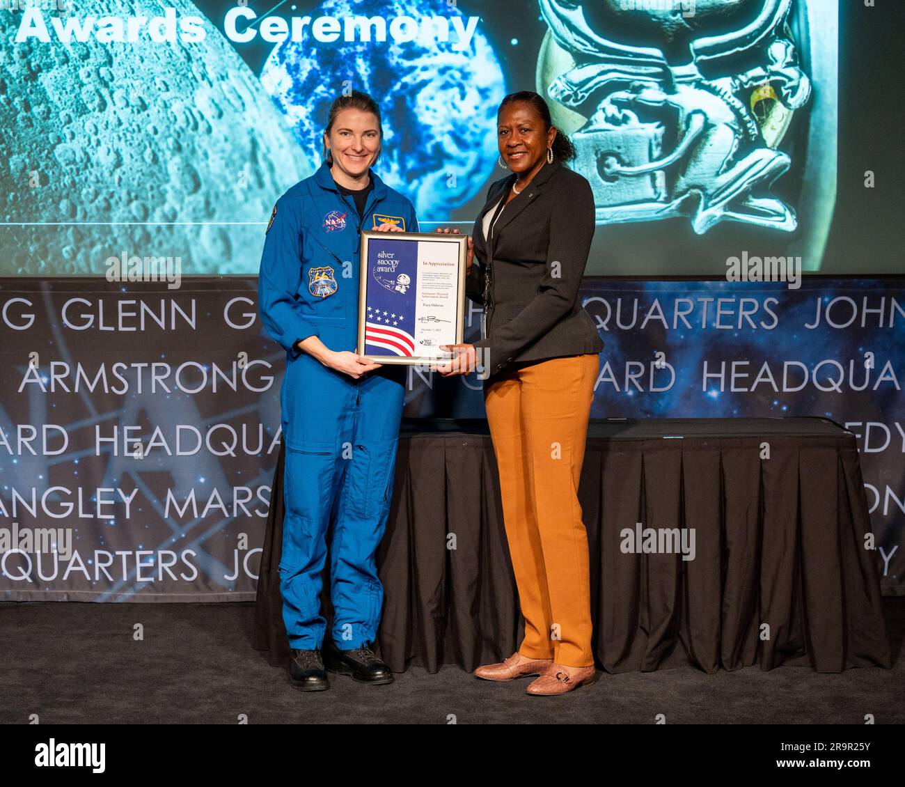 Nasa Flight Awareness Award S