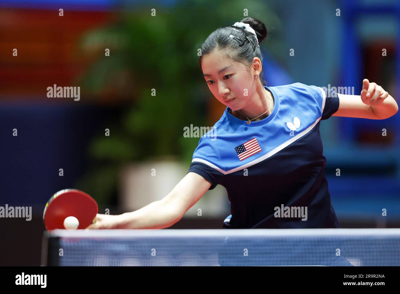 Amy wang hi-res stock photography and images - Alamy