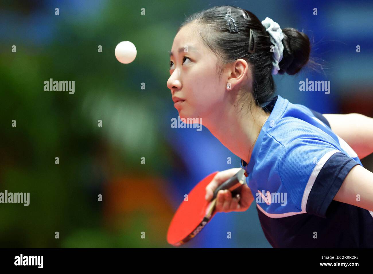 Amy wang hi-res stock photography and images - Alamy