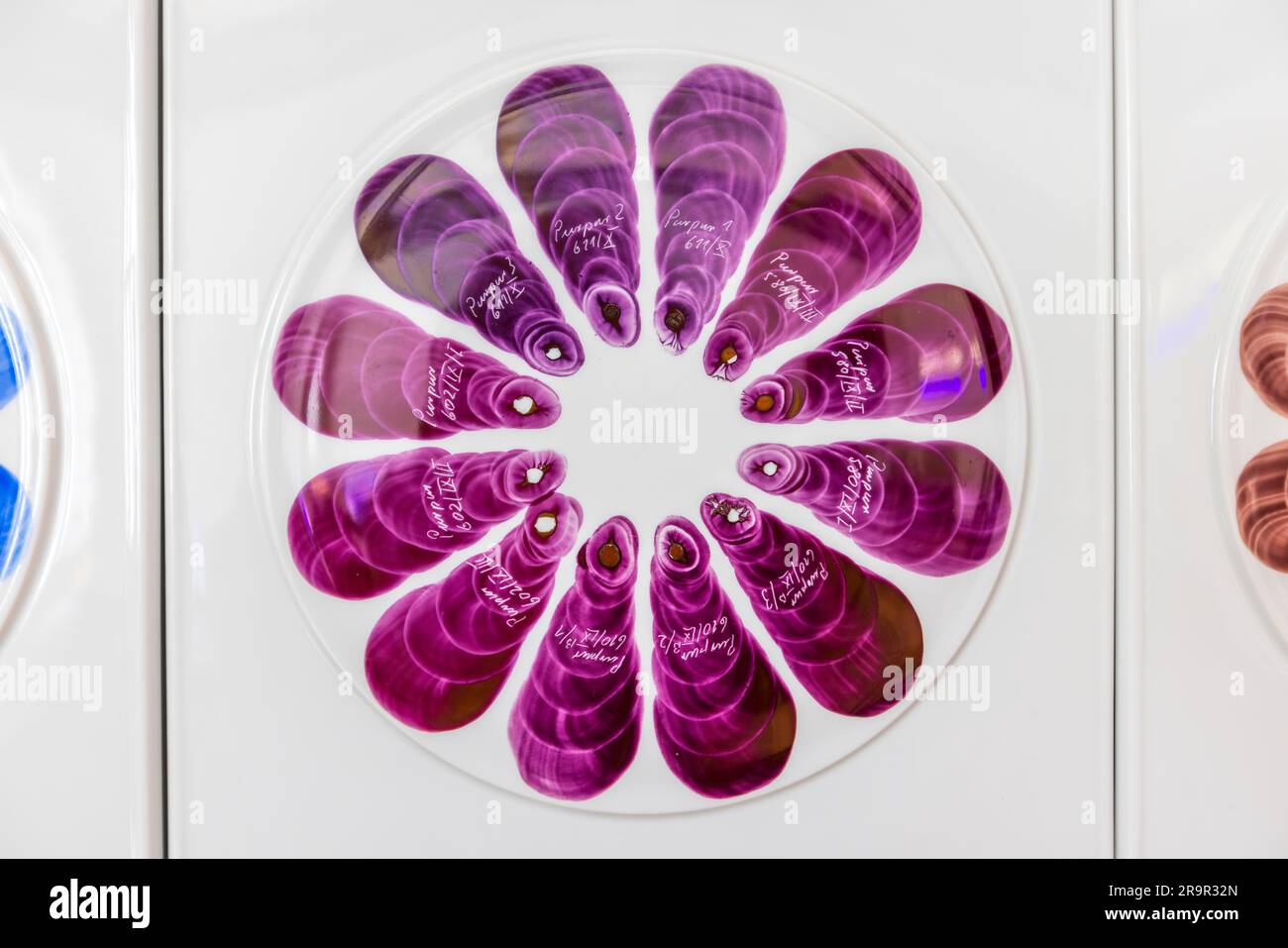 Porcelain Museum in the Porcelain Foundation Meissen, Germany Stock ...