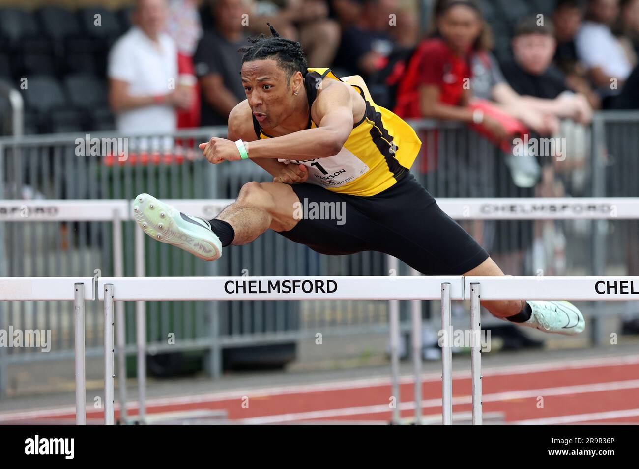 Newham and essex beagles ac hi-res stock photography and images - Alamy