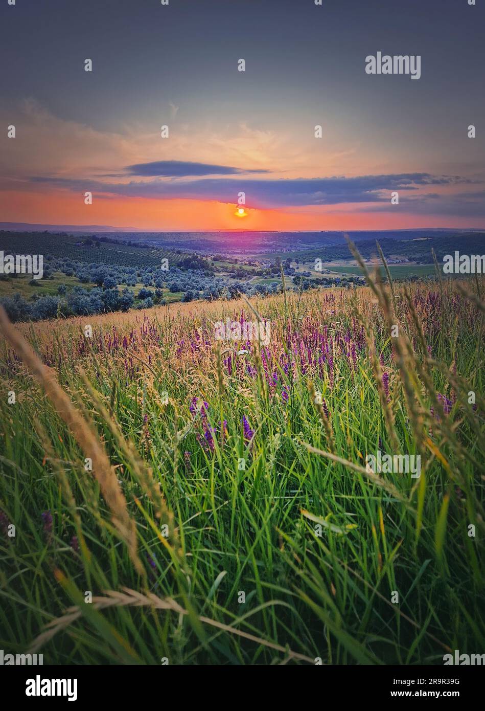 Beautiful vertical landscape view hi-res stock photography and images ...