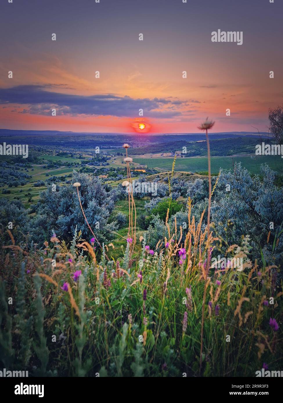 Beautiful vertical rural view hi-res stock photography and images - Alamy