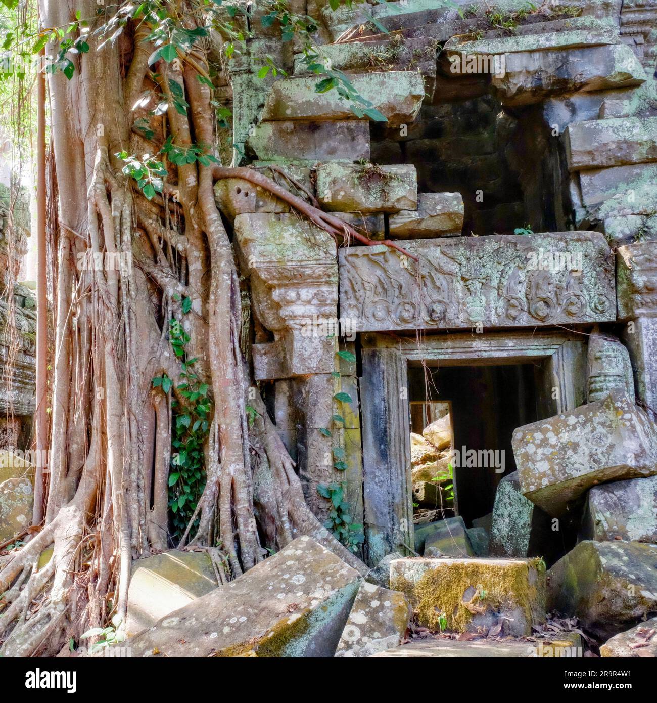 Image of a collapsed Khmer medieval stone structure being overtaken by ...