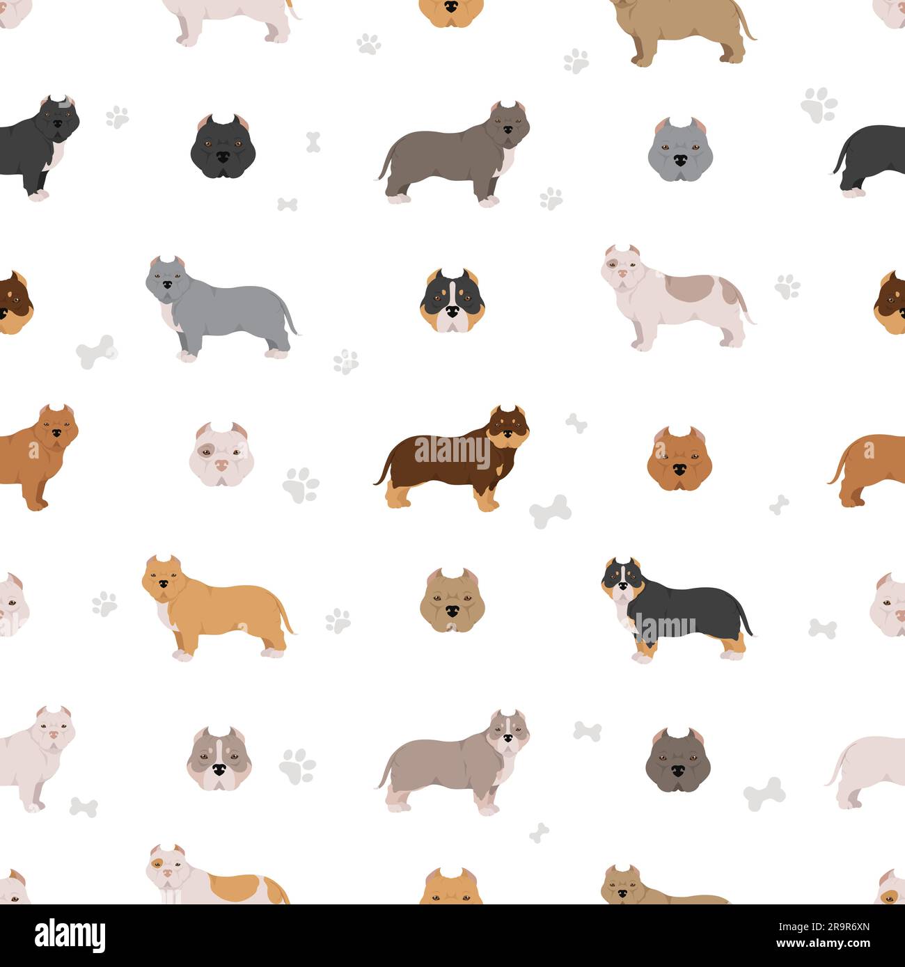 American bully dogs set. Color varieties, different poses. Seamless ...