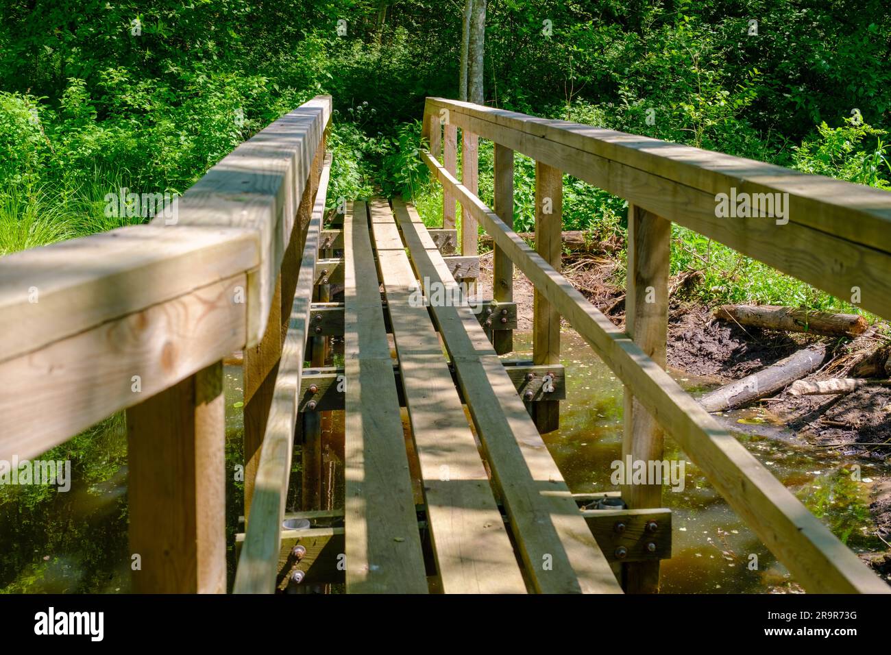 A wooden boardwalk with railings in a wet swampy area. Equipped tourist trail with wooden paths ...