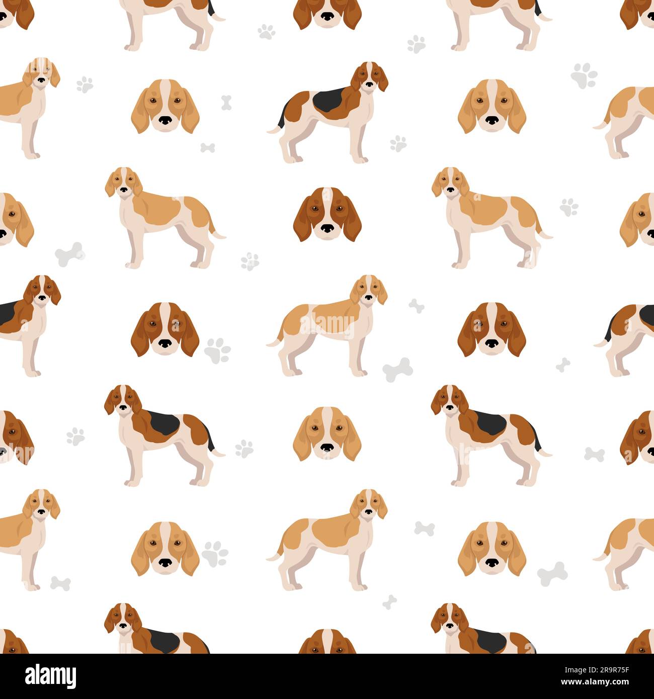 Beagle Harrier seamless pattern. Different coat colors and poses set ...
