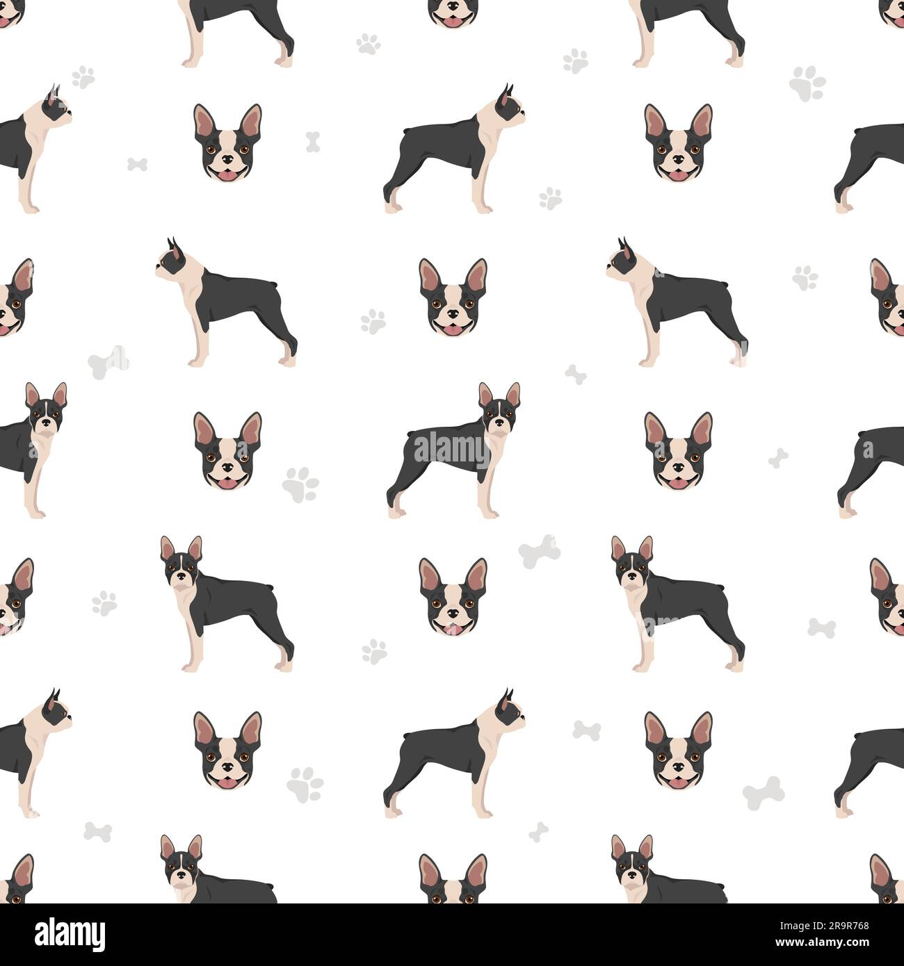 Boston terrier seamless pattern. Vector illustration Stock Vector Image ...