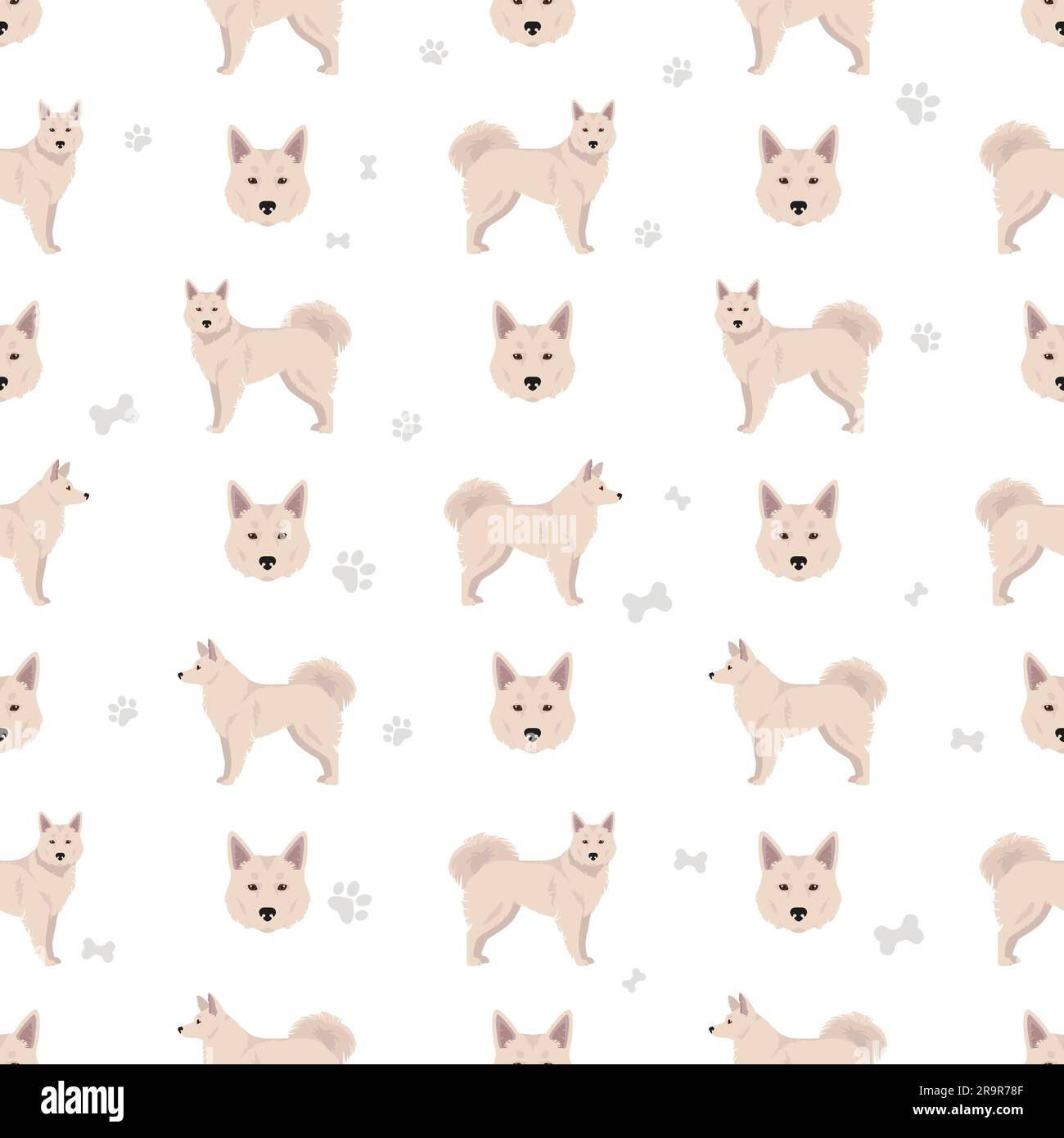 Danish Spitz seamless pattern. Different poses, coat colors set. Vector ...