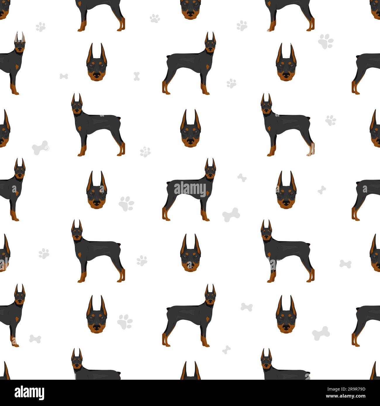 Doberman pinscher dogs seamless pattern. Different poses, coat colors ...
