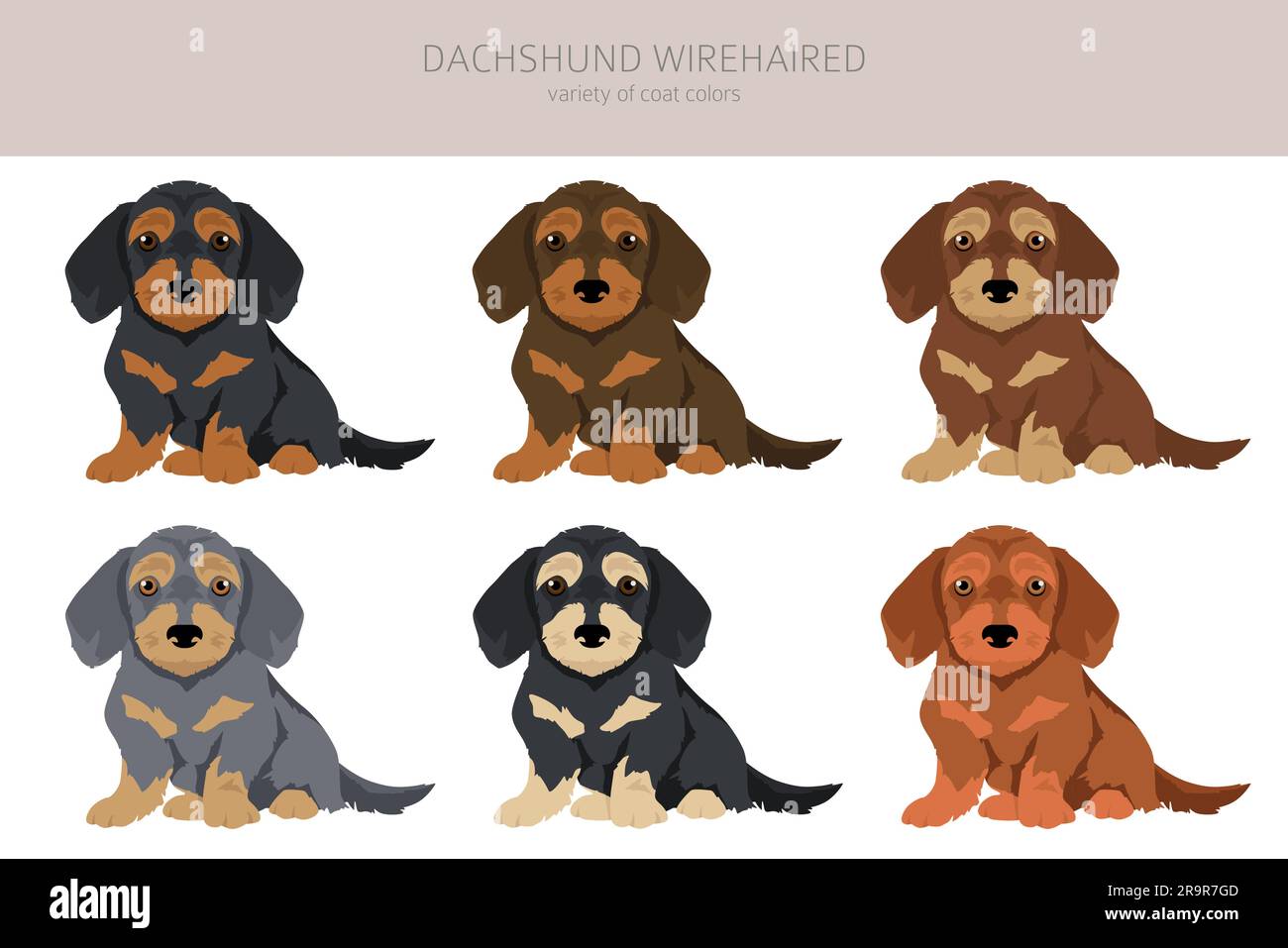 Dachshund Clip Art