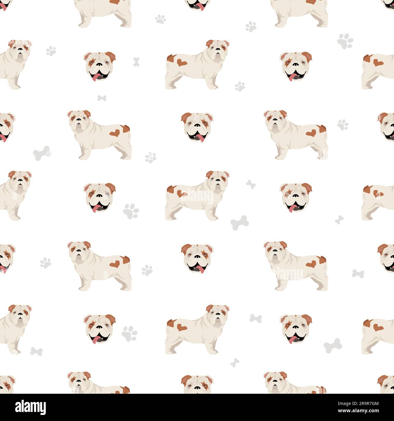 English bulldog seamless pattern. Different poses, coat colors set ...