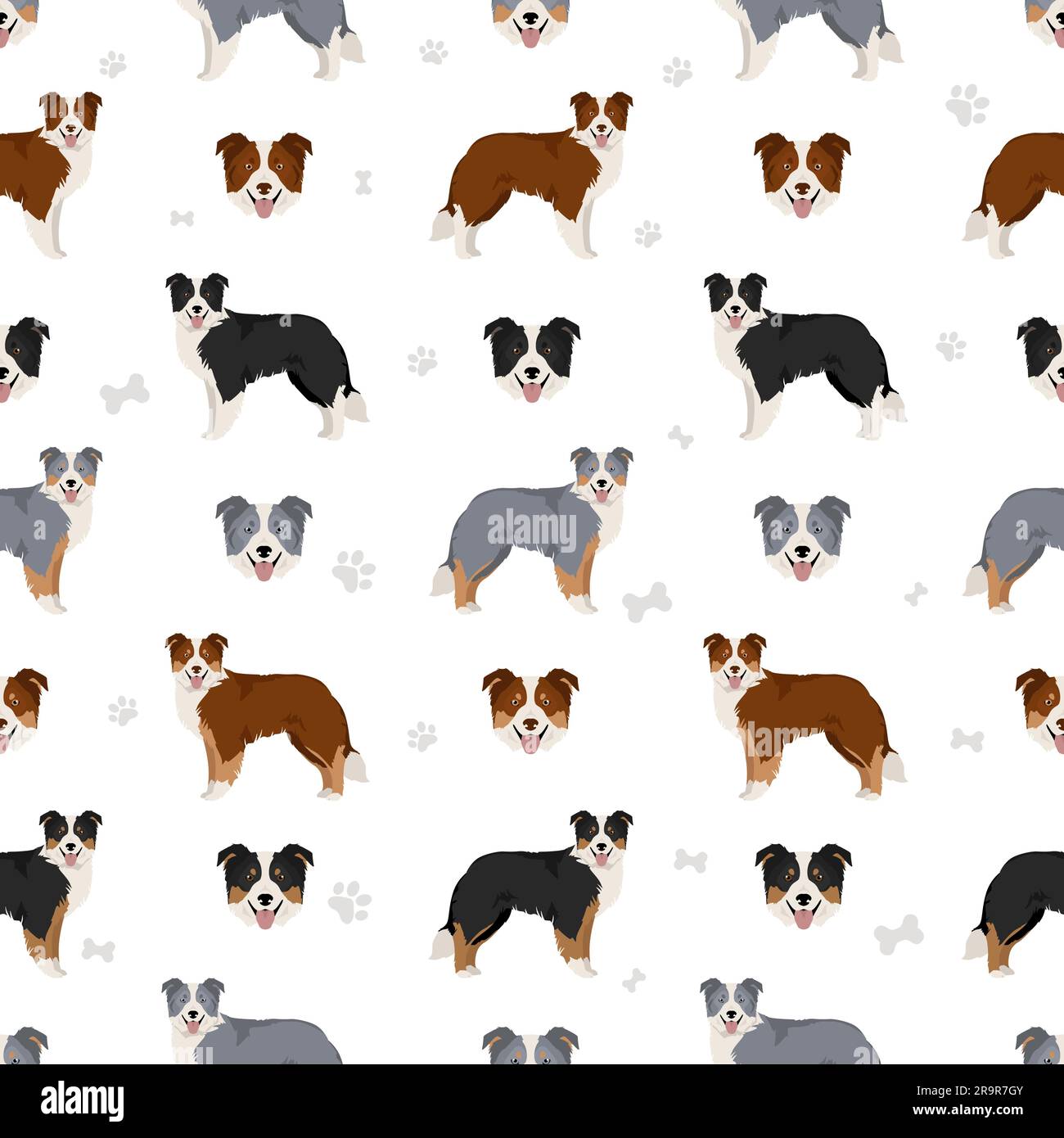 Border collie dog red Stock Vector Images - Alamy