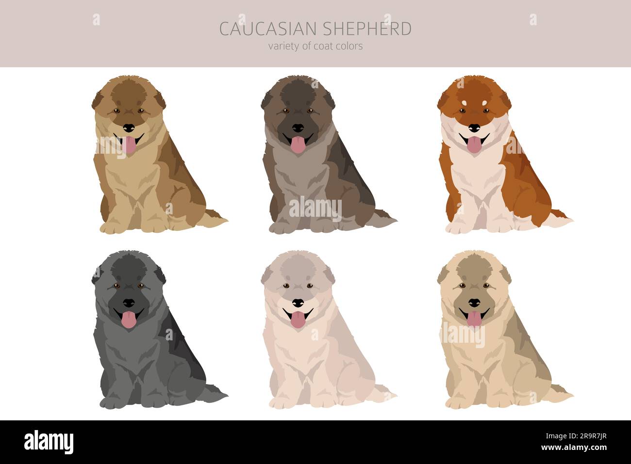 Caucasian shepherd puppies clipart. Different poses, coat colors set ...