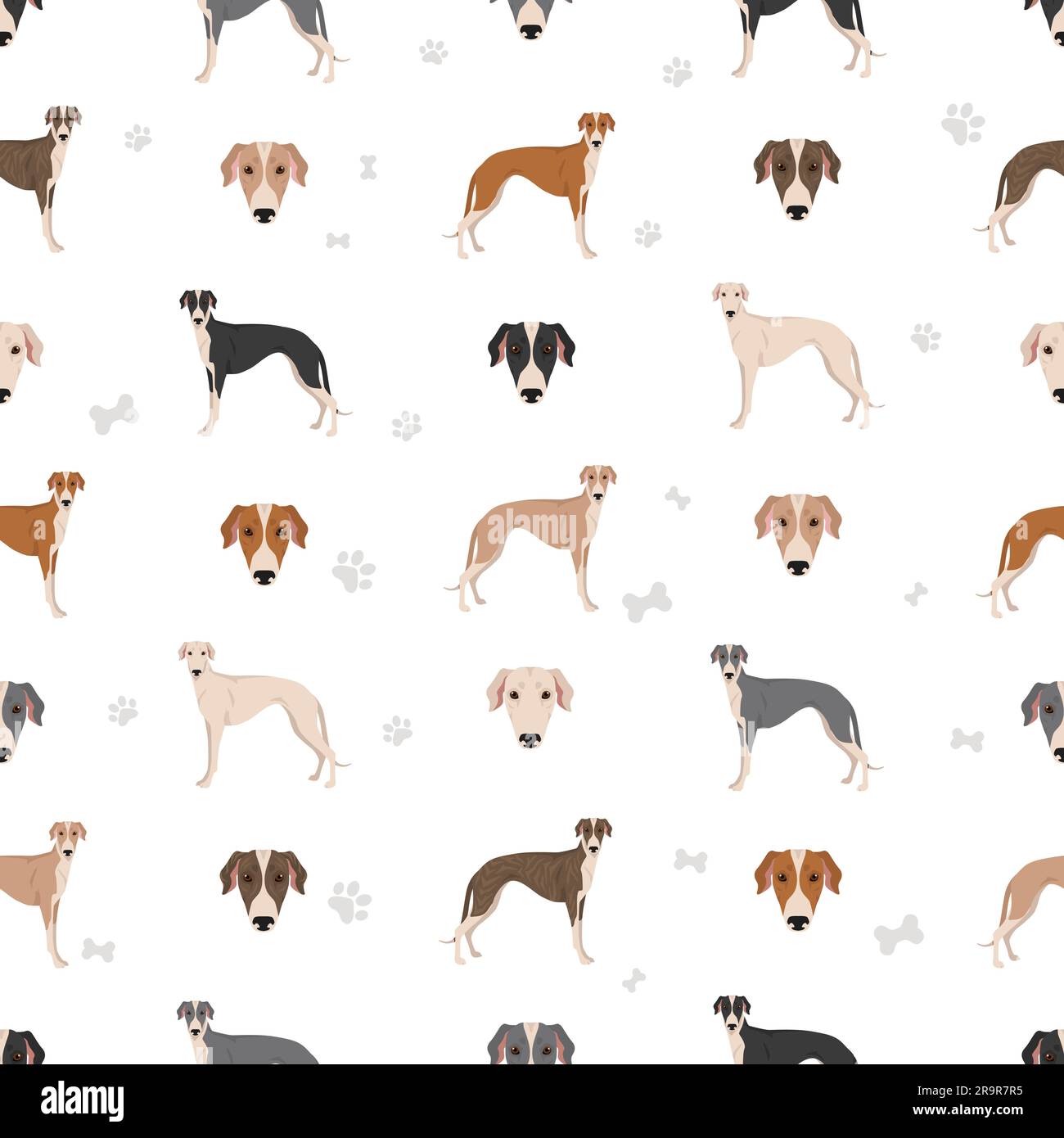 English greyhound dogs in different poses. Greyhounds seamless pattern ...