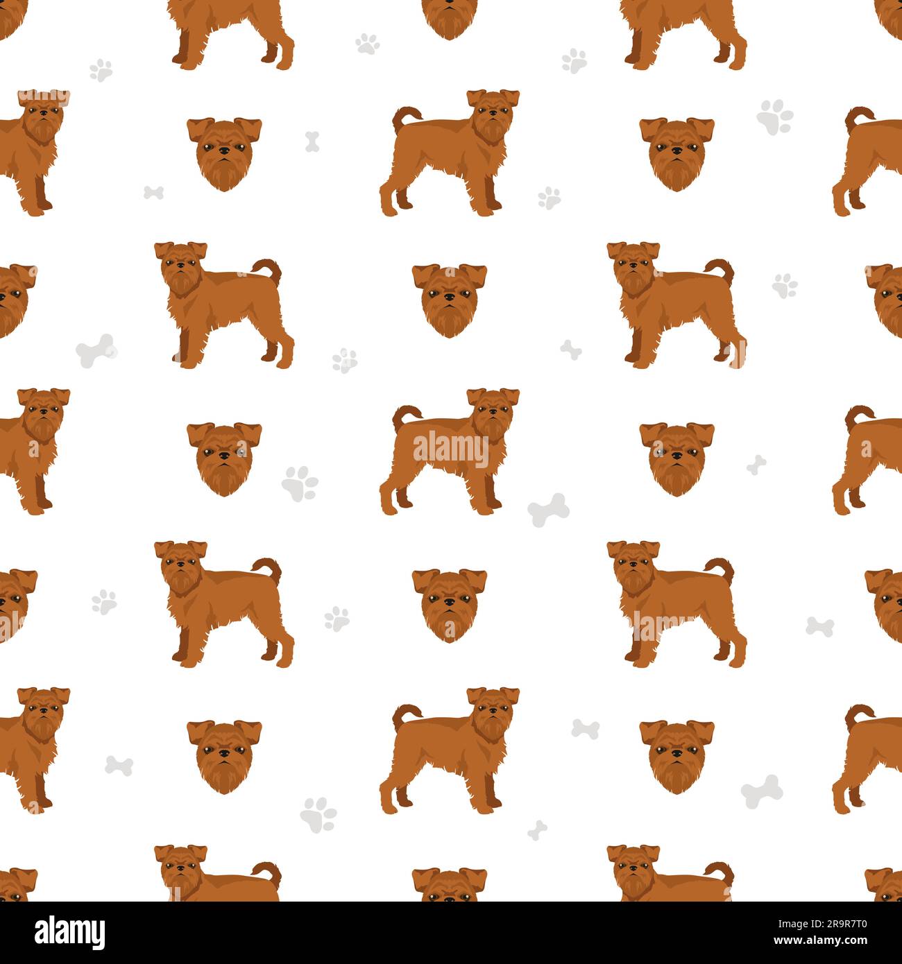 Griffon Belge seamless pattern. Different poses, coat colors set ...