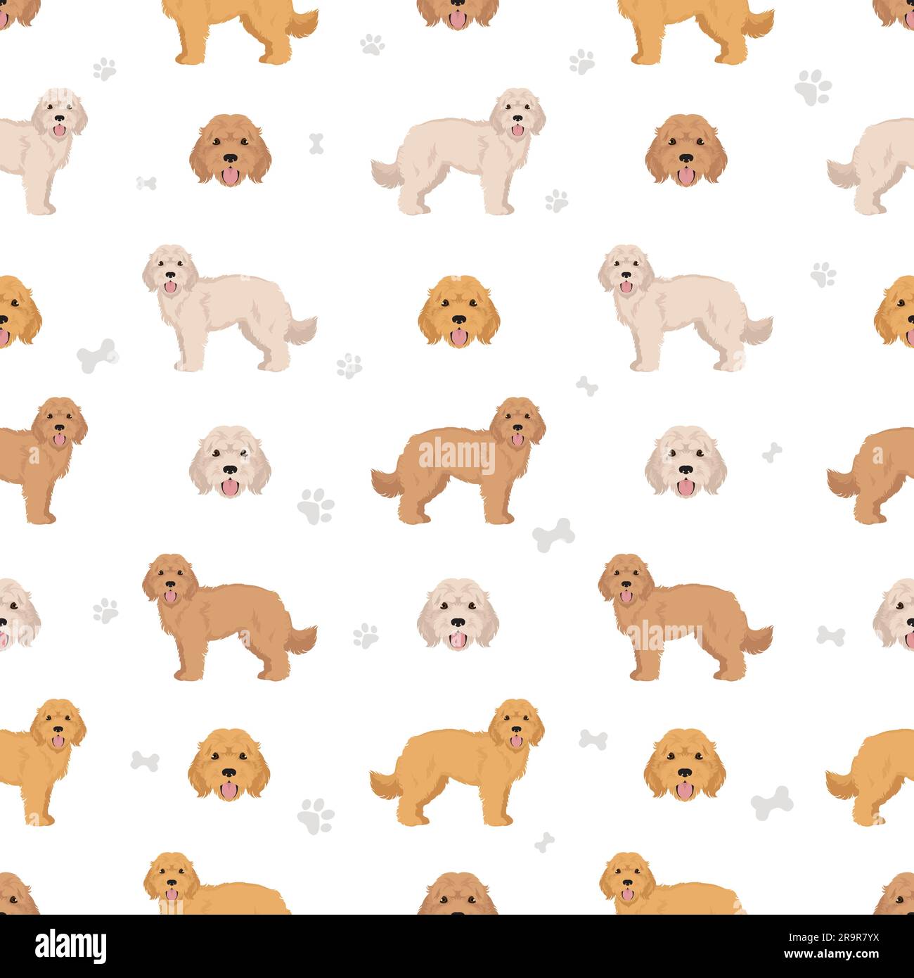 Cockapoo seamless pattern. Different poses, coat colors set. Vector ...