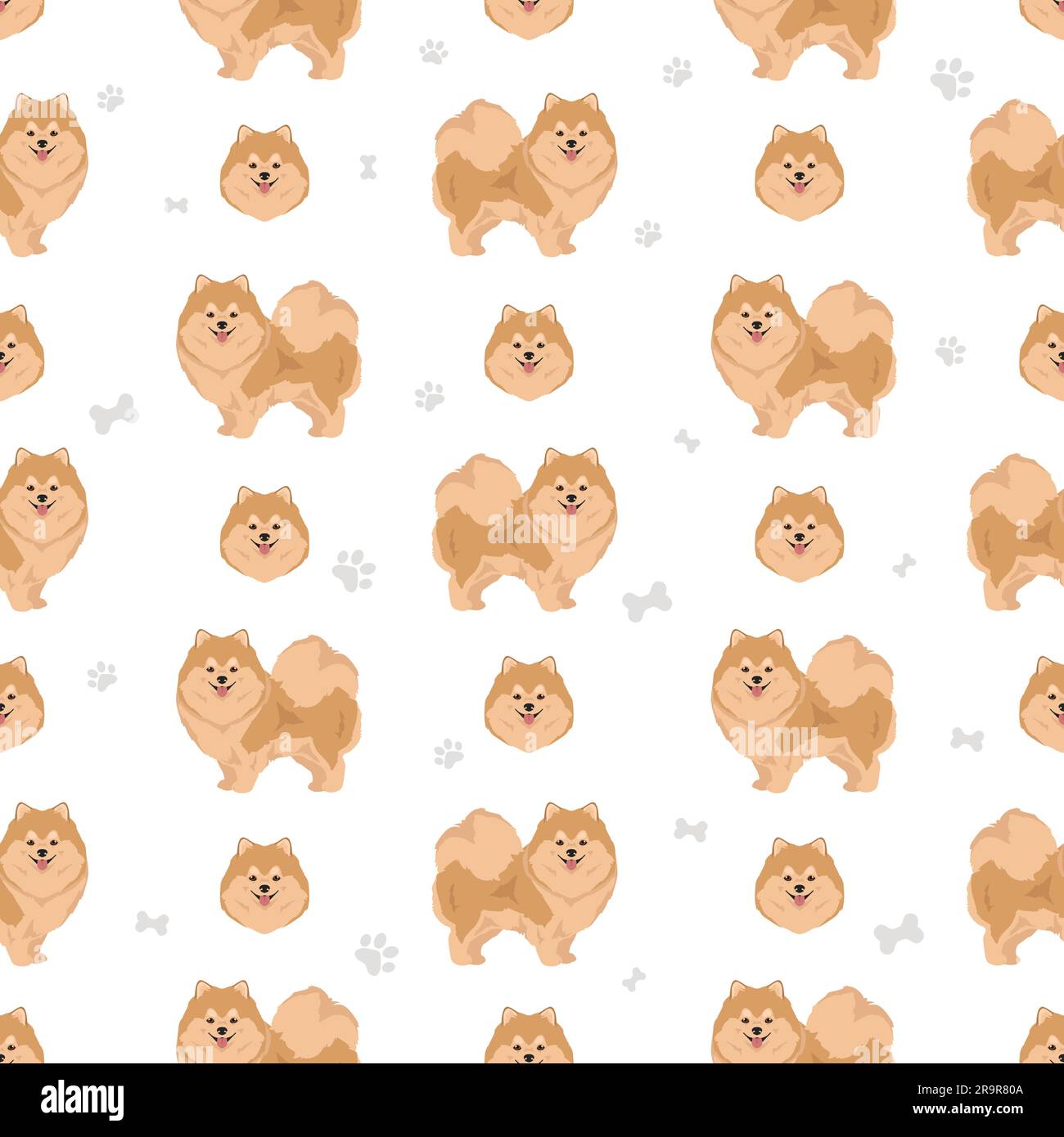 Pomeranian German spitz seamless pattern. Different poses, coat colors set. Vector illustration ...