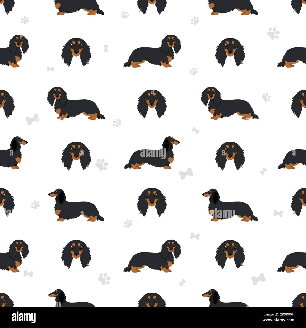 Dachshund long haired seamless pattern. Different poses, coat colors ...