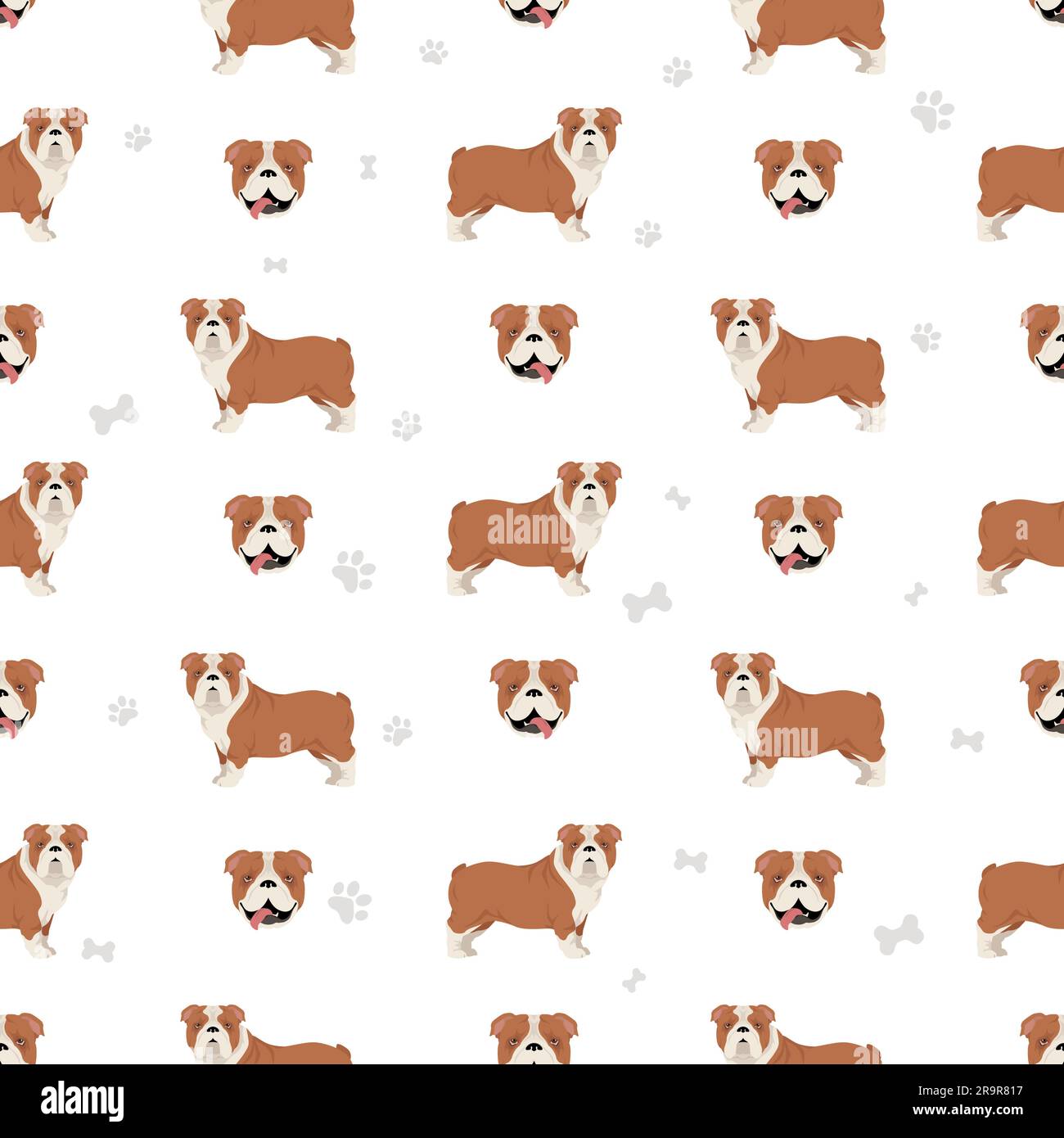 English Bulldog Diagram at Jonathan Dittmer blog
