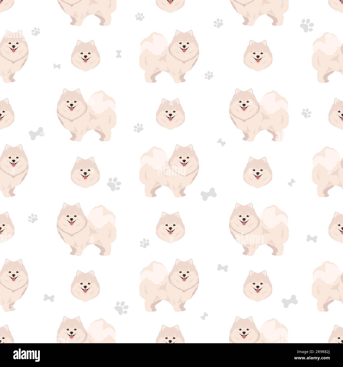 Pomeranian German spitz seamless pattern. Different poses, coat colors set. Vector illustration ...