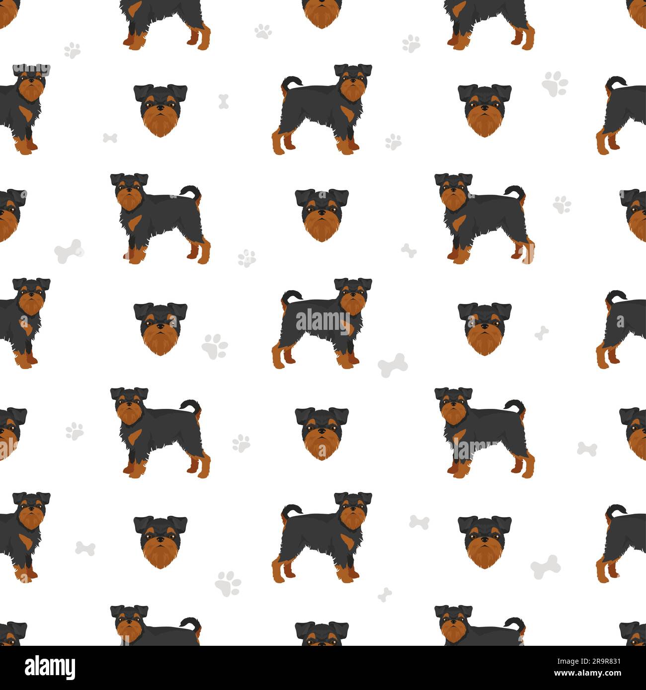 Griffon Belge seamless pattern. Different poses, coat colors set ...
