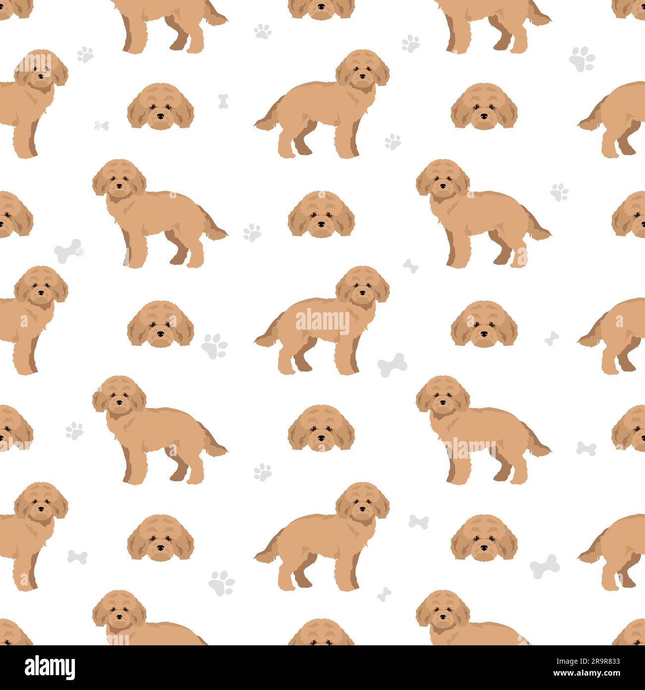 Miniature poodle seamless pattern. Different poses, coat colors set ...