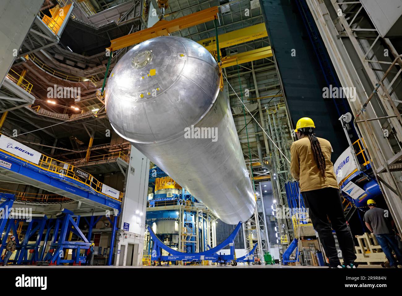 Largest cell hi-res stock photography and images - Alamy