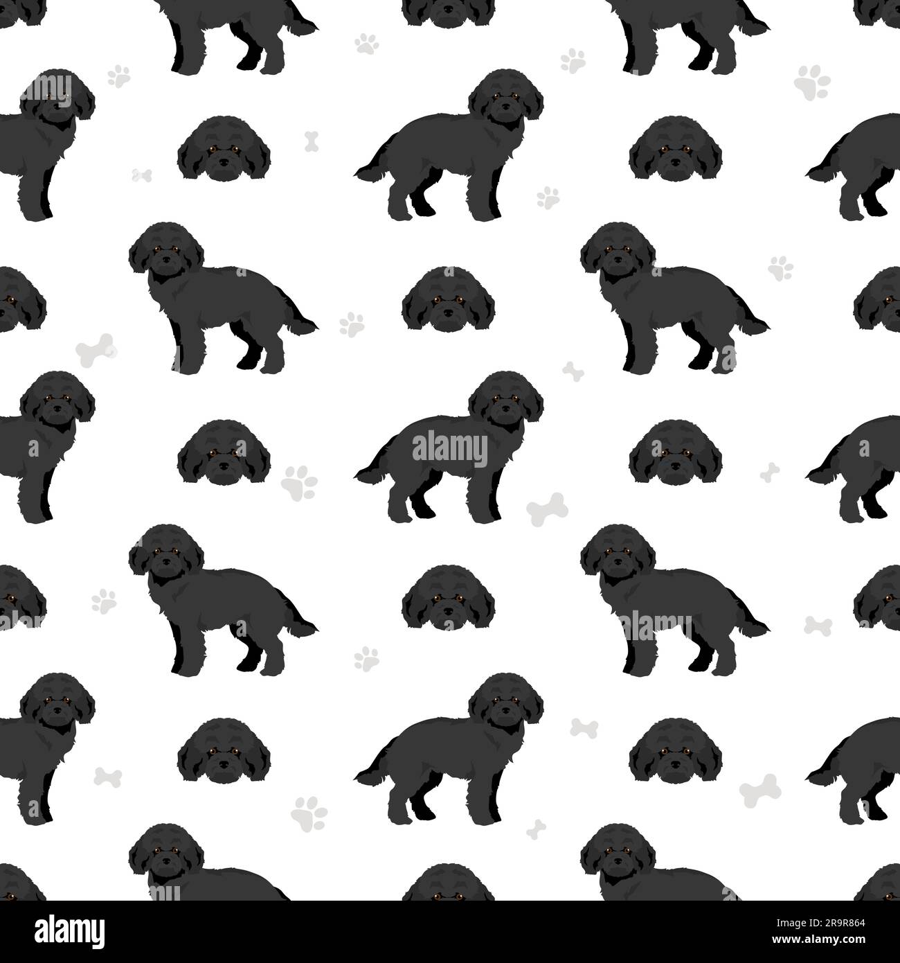 Miniature poodle seamless pattern. Different poses, coat colors set ...