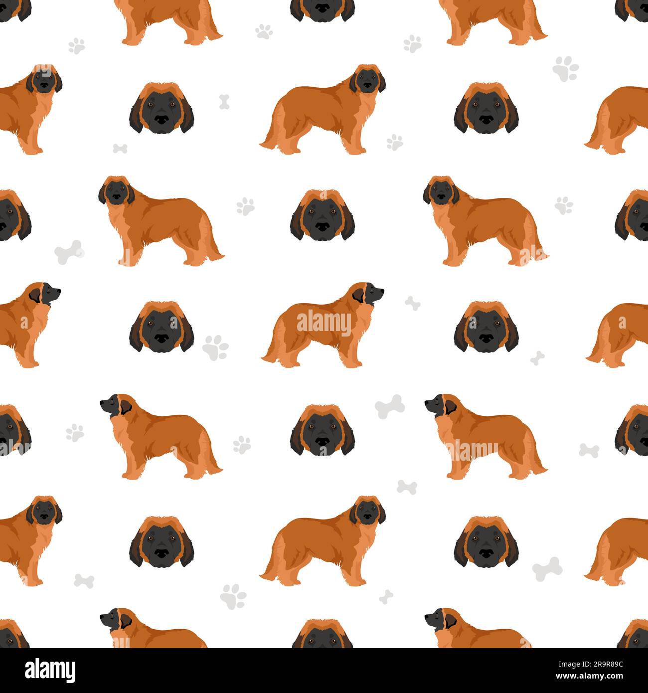 Leonberger seamless pattern. Different poses, coat colors set. Vector ...