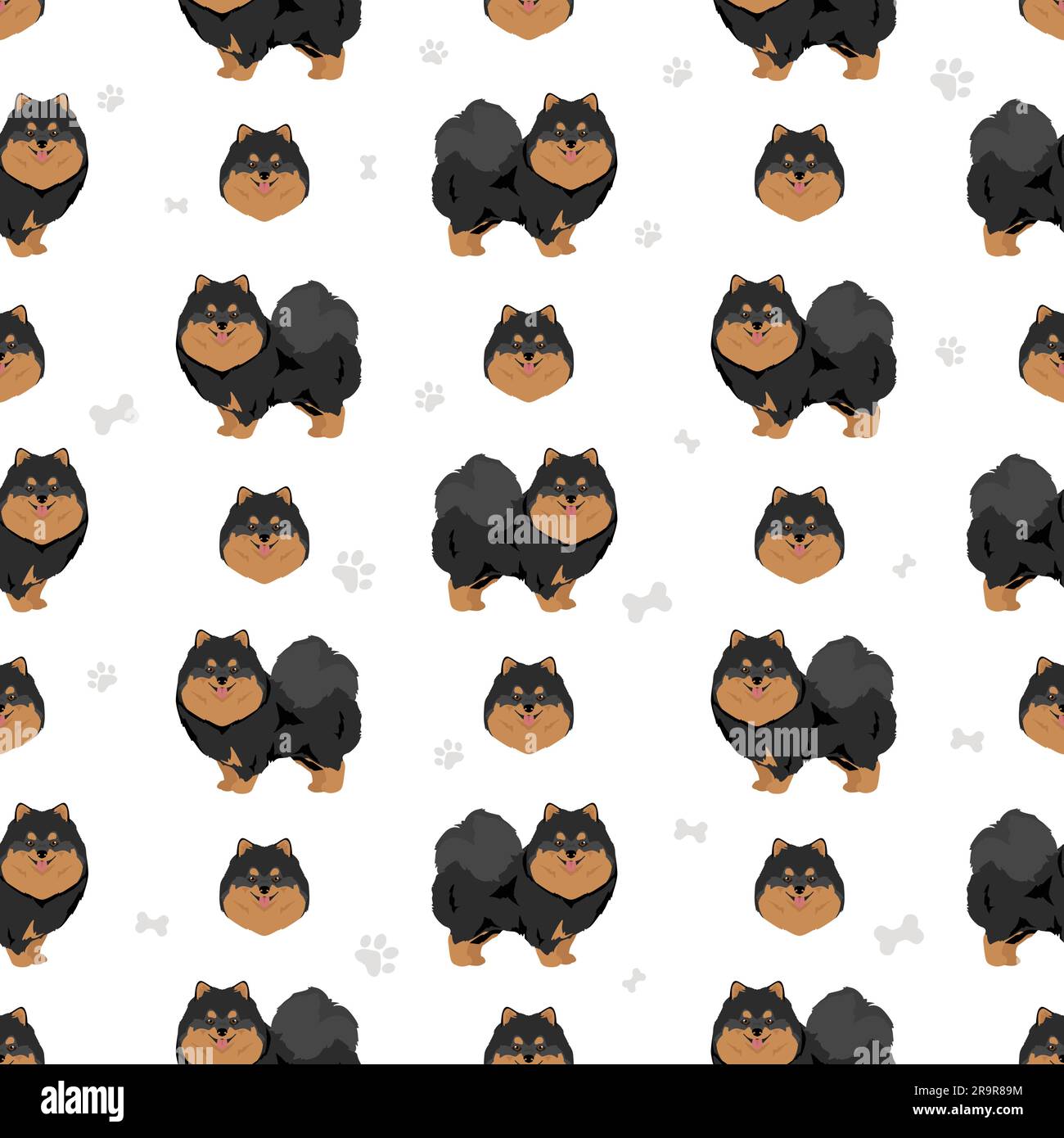 Pomeranian German spitz seamless pattern. Different poses, coat colors set. Vector illustration ...