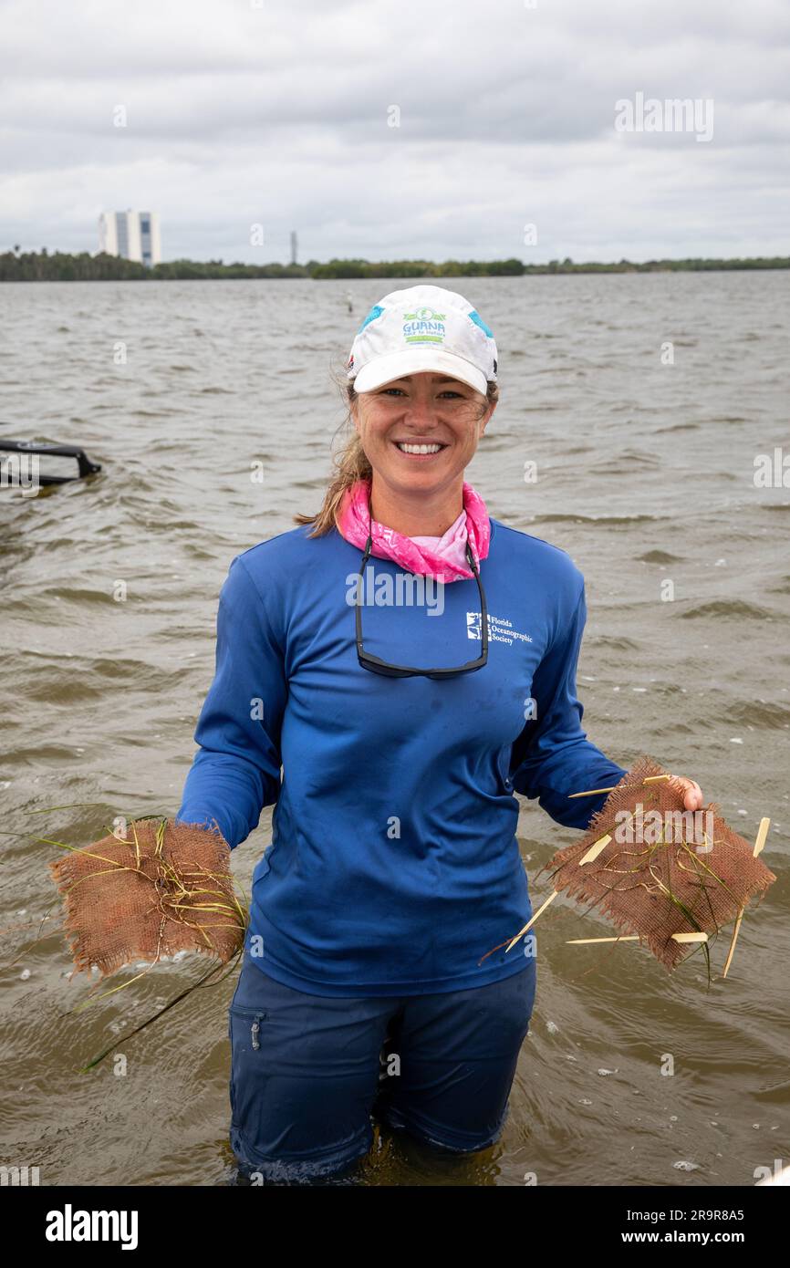 Sea Grass Restoration Project. Lorae Simpson, director of research and ...