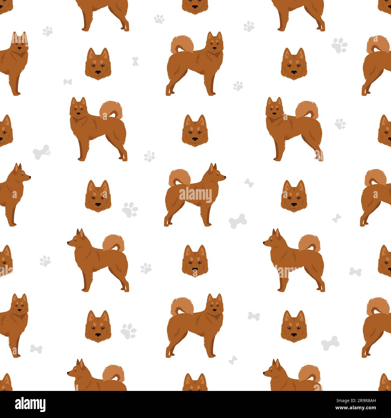 Karelo-Finnish laika seamless pattern. Different coat colors set ...