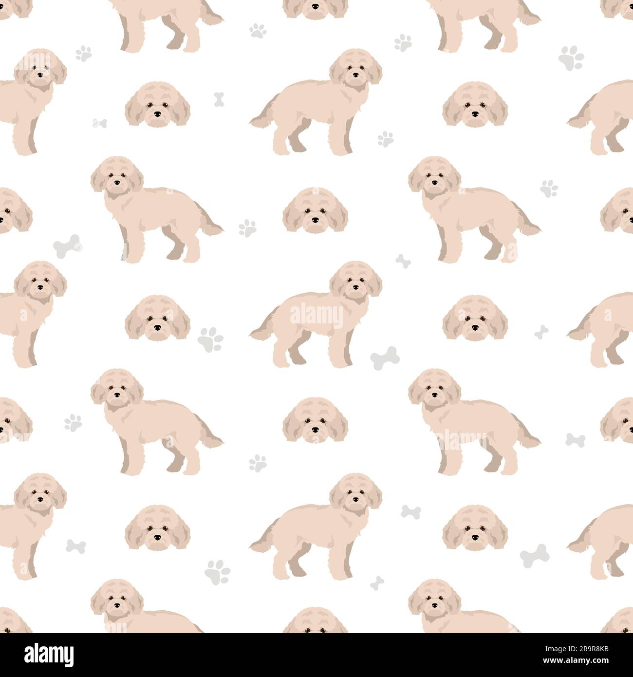 Miniature poodle seamless pattern. Different poses, coat colors set ...