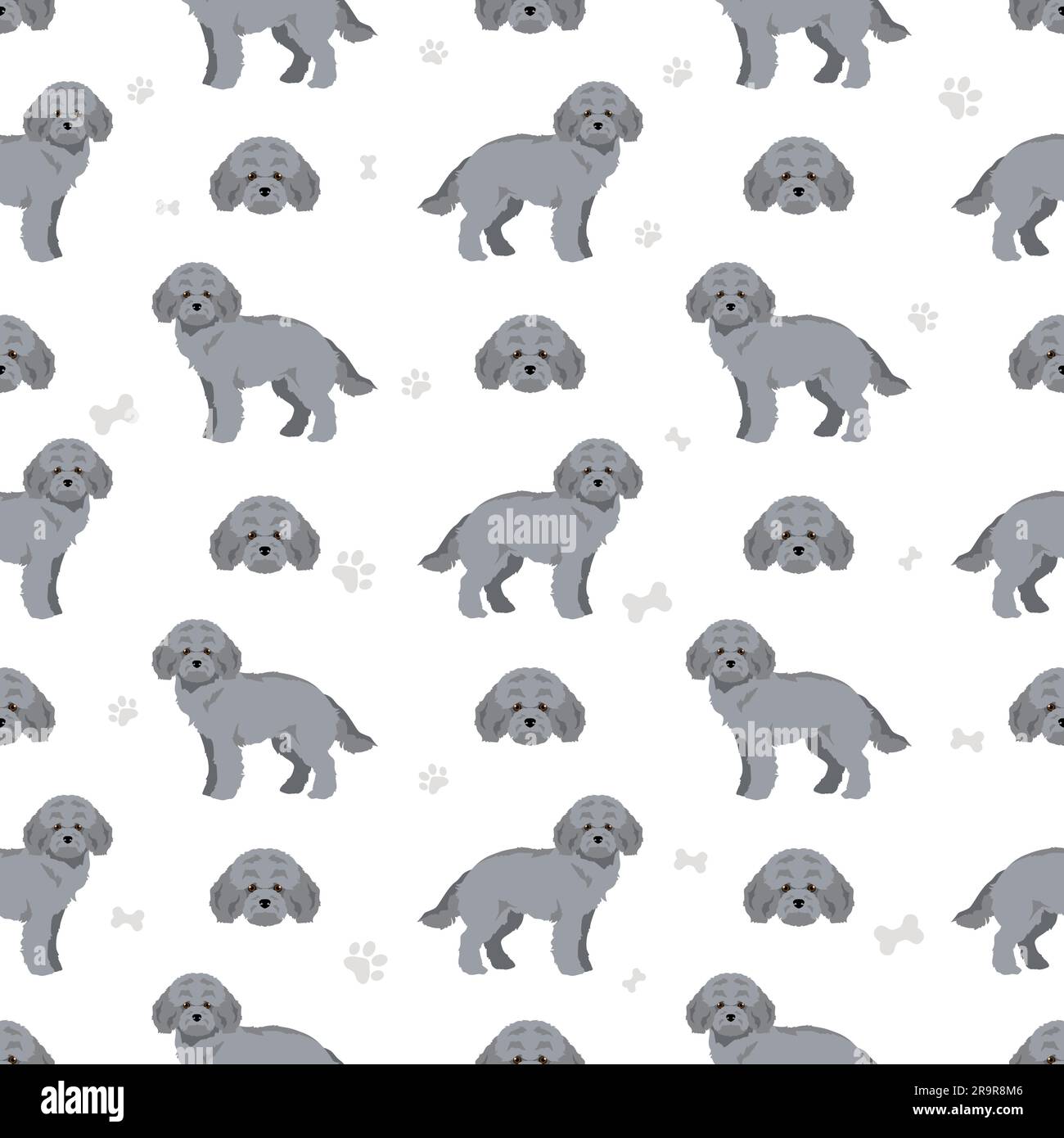 Miniature poodle seamless pattern. Different poses, coat colors set ...