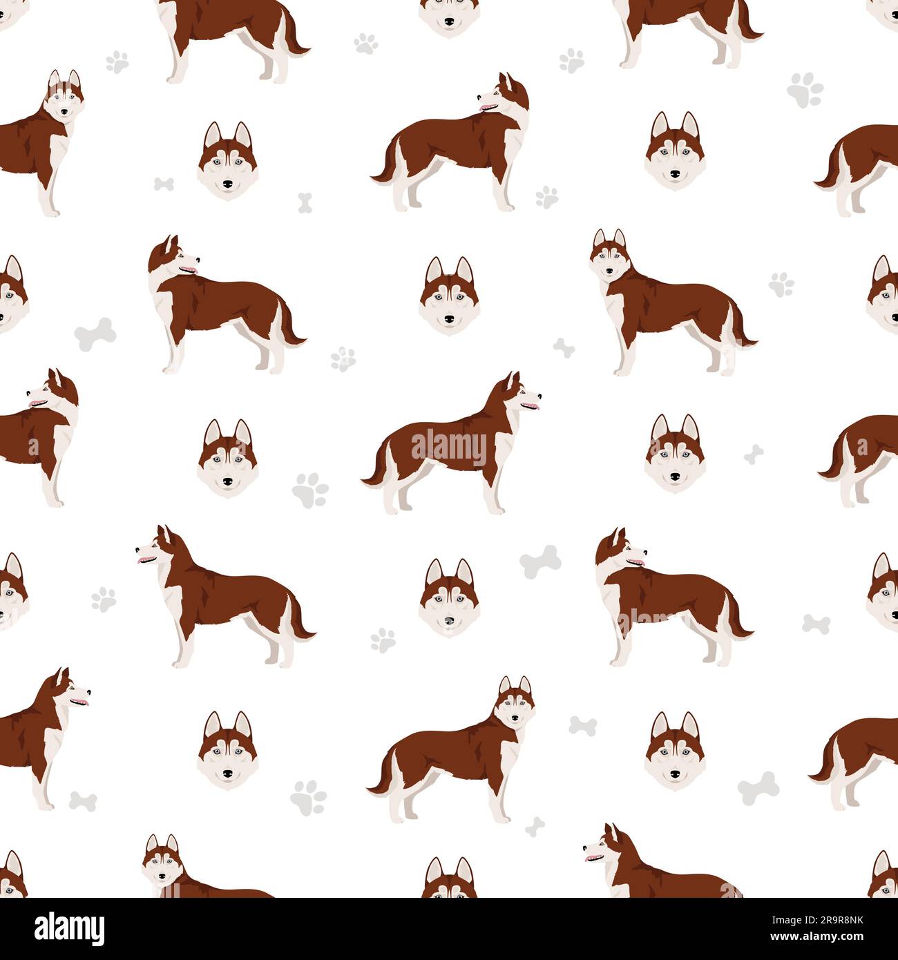 Siberian Husky seamless pattern. All coat colors set. All dog breeds ...