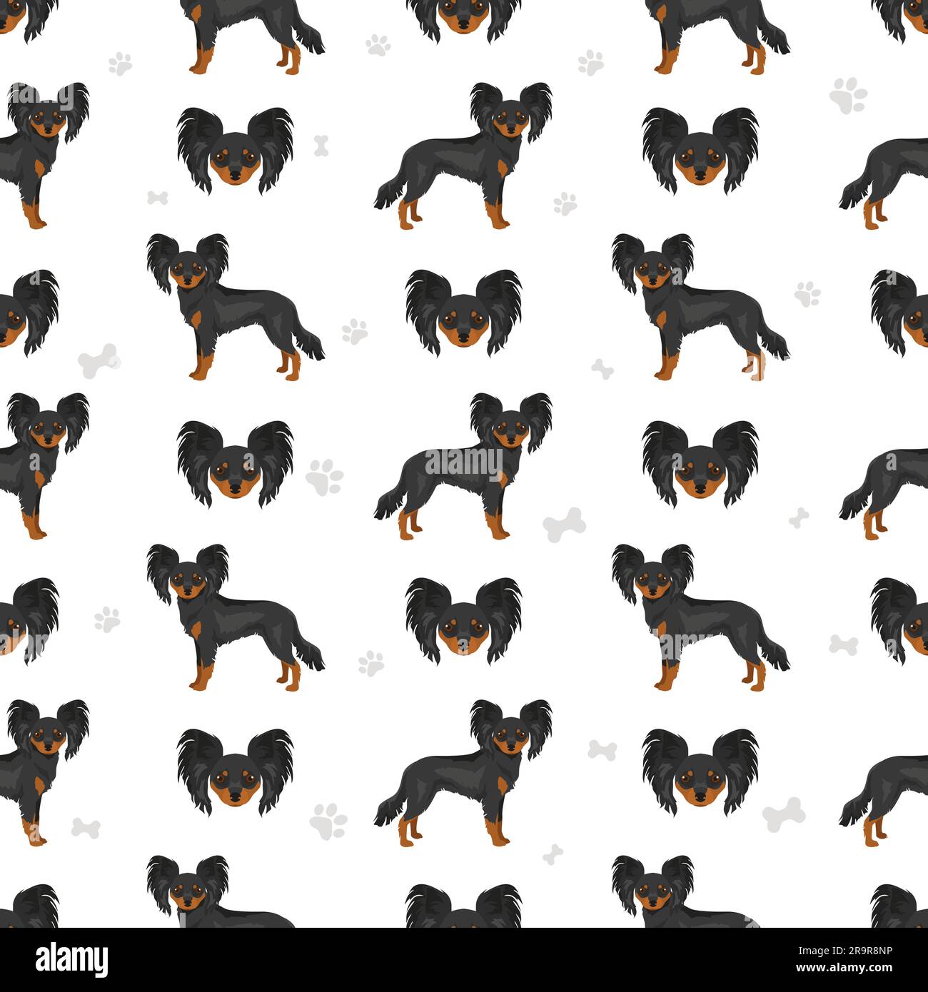 Russian toy terrier longhaired seamless pattern. Different poses, coat ...
